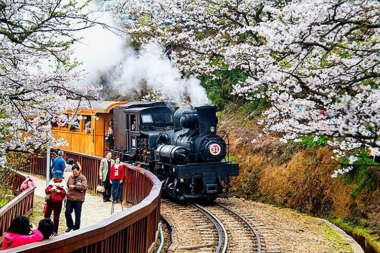A tourist attraction not to be missed: Taiwan’s Alishan Forest Railway ...